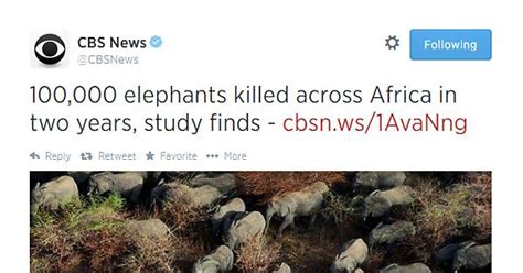 The Environment Imgur