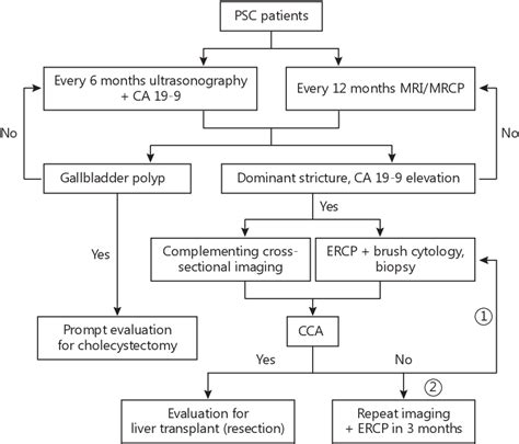 Figure 1 From Primary Sclerosing Cholangitis And Cholangiocarcinoma