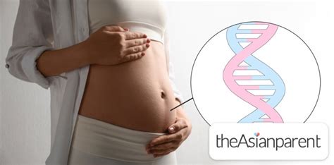 Genetic Testing Philippines Things To Know If You Re Trying To Conceive