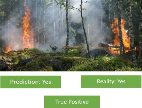 Unit 1 Ai Reflection Project Cycle And Ethics Class 9 Notes Important