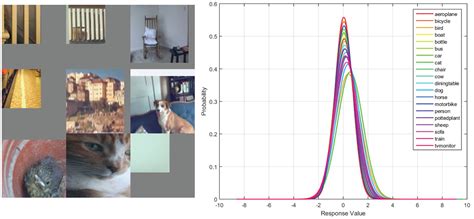Understanding Convolutional Neural Networks Via Discriminant Feature