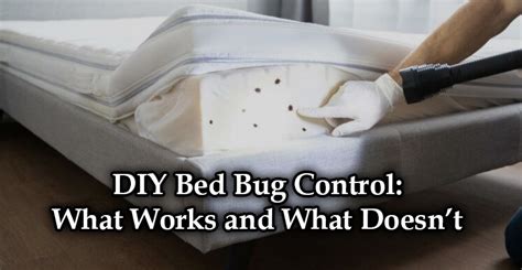 Diy Bed Bug Control What Works And What Doesnt Pestong Pest Control