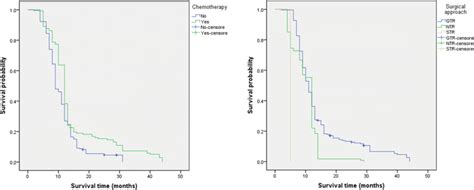 Kaplan Meier Curve Of Prognosis Stratification In Patients With