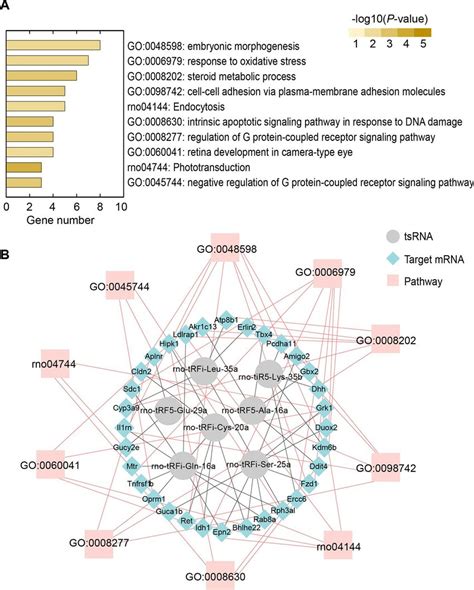Bioinformatics Analysis Revealing Potential Biological Functions Of 7