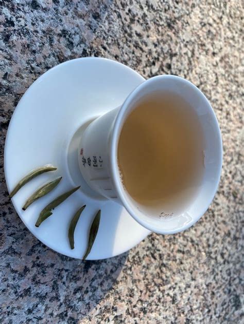 白毫銀針是白茶中的高等級 每日頭條