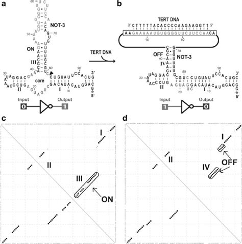 Computational Design Of The NOT 3 Logic Gate A A Secondary Structure Download Scientific
