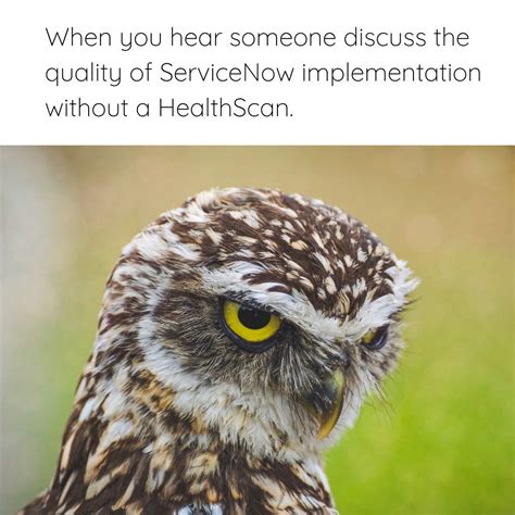 michael moch linkedin de servicenow healthscan servicenowinstance