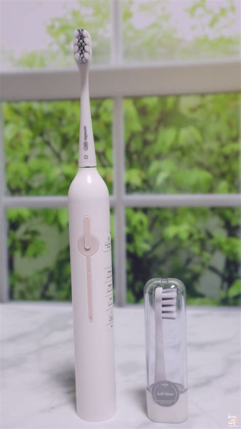 입문용 음파전동칫솔 치석제거 탁월한 유스마일 네이버 블로그