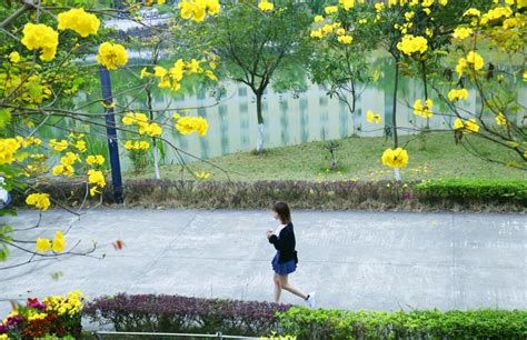 花都校区 欢迎光临广州工商学院