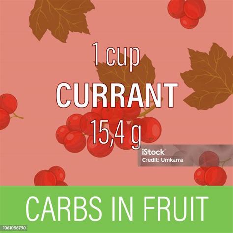 과일에서의 탄수화물 섭취 레드 건포도입니다 영양사 카드입니다 그램에서 탄수화물의 양을 지정입니다 벡터 건강한 식생활에 대한 스톡 벡터 아트 및 기타 이미지 Istock