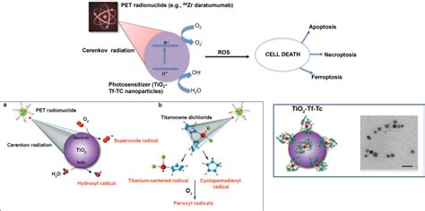 Research Achilefu Lab Ut Southwestern Dallas Texas