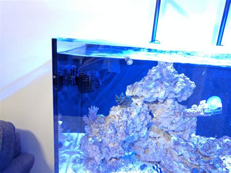 Find My Flow Powerhead Placement And Settings REEF REEF Saltwater And Reef Aquarium Forum