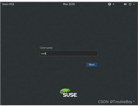 Sap之suse For Sap 12 Sp5安装教程超详细sap 虚拟机 版本 Csdn博客