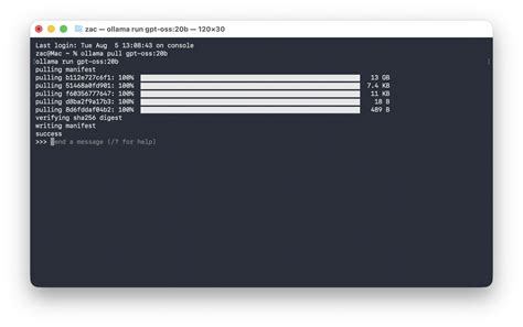 how to install and use openai s gpt oss 20b model on macos locally