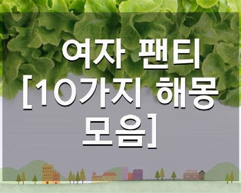 여자 팬티 [10가지 해몽모음]