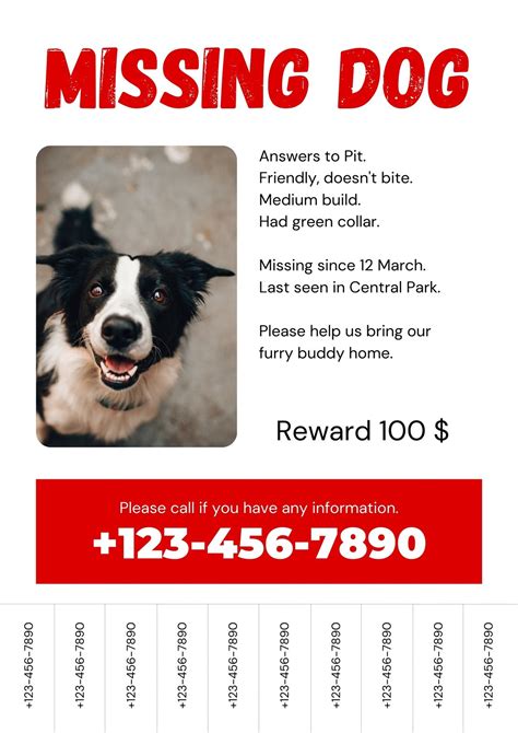 Missing Dog Poster What To Do If Your Dog Gets Lost Old Dogs