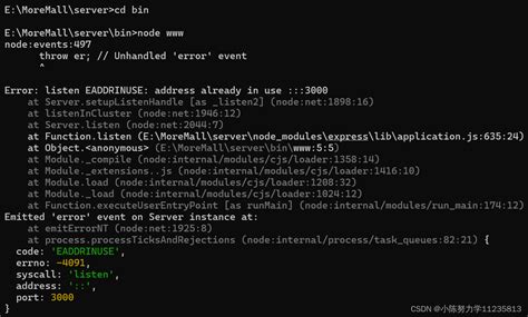 vue js 和 node js 全栈项目的运行与部署指南 csdn博客