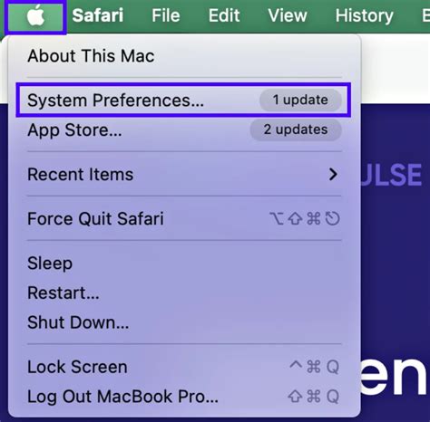 Residential Proxies For Macos Connecting Tutorial Dataimpulse