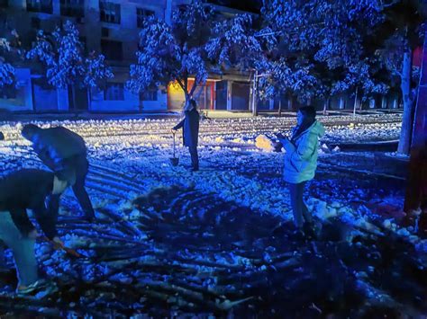 湖南省衡南县泉湖镇：坚守岗位除雪忙，以雪为令保畅通 中国交通网 Traffic In China