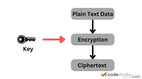 What Are Basic Cryptography Tools Naukri Code 360
