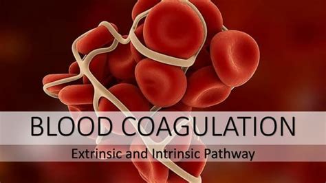 Blood Coagulation Cascade Pptx