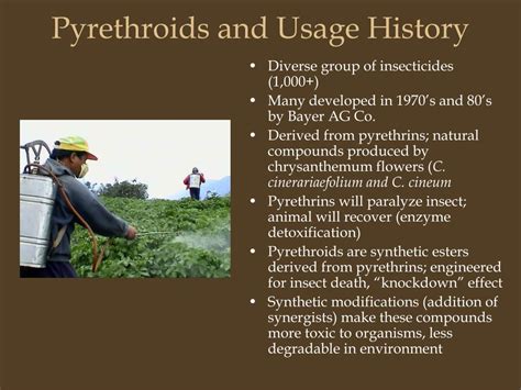 Ppt Pyrethroids Powerpoint Presentation Free Download Id 6320479