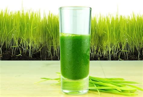 ჯეჯილის წვენი სასწაულმოქმედი ეფექტი წონის დასაკლებად