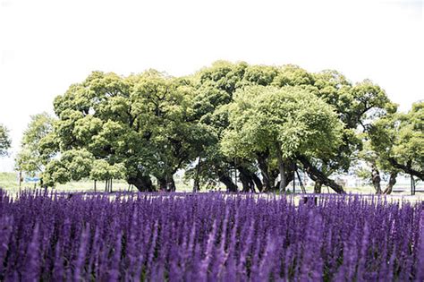 유토이미지 가을 015