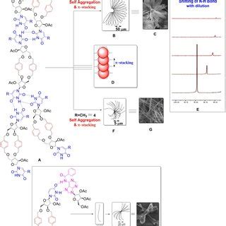 Proposed model for the aggregation and π stacking of 3 4 and their Download Scientific