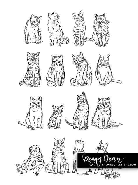 Cat Taxonomy On Behance