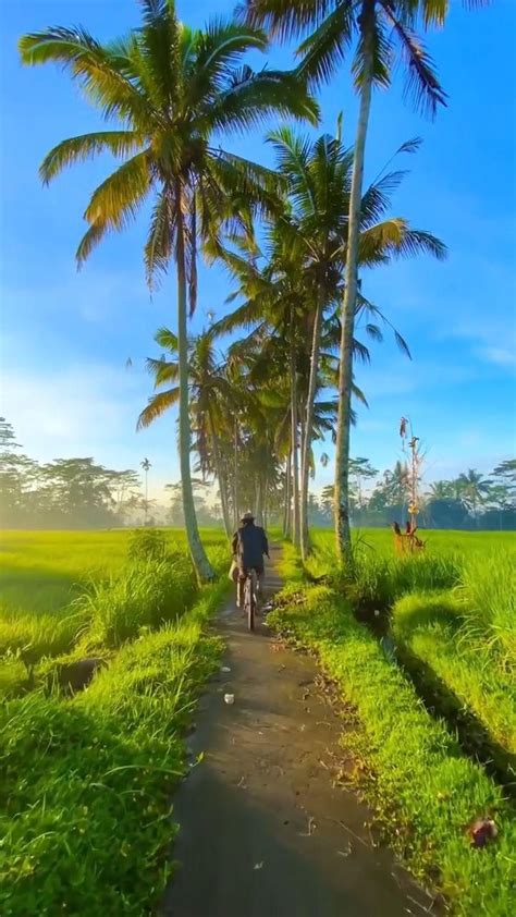 ไอเดีย ทำมะชาด 44 รายการเพื่อบันทึกในวันนี้ ธรรมชาติ การถ่ายภาพธรรมชาติ อัศจรรย์แห่งธรรมชาติ