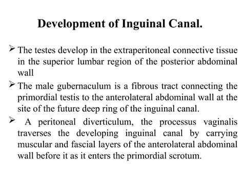Anatomy Of Abdominal Wall And Inguinal Canalpptx