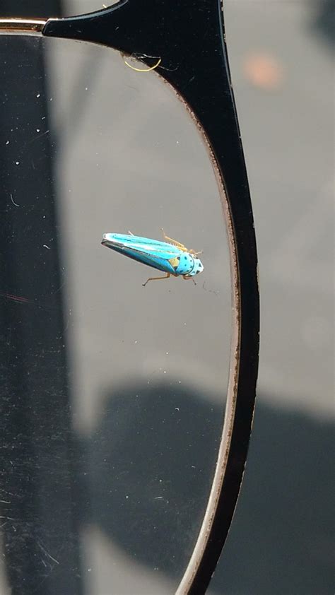 Unknown Album On Imgur