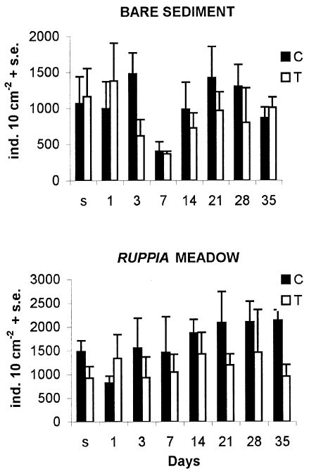 Average Densities Of Total Nematodes In Bare Sediment And In Ruppia Download Scientific Diagram