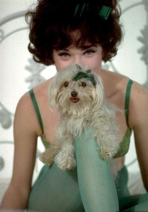 45 Beautiful Photos Of Young Shirley Maclaine In The 1950s And 1960s