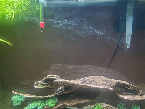 Cant Get Rid Of This Mark Ive Used Razor Bleach Vinegar There Used