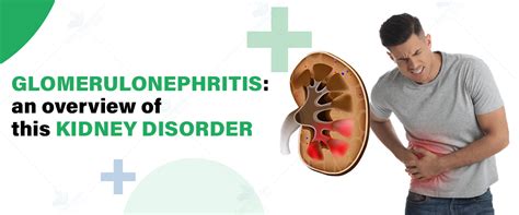 Glomerulonephritis Urine Dip