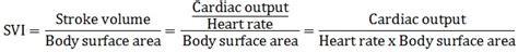 Stroke Volume Index Calculator