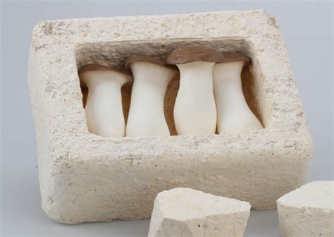 사 한국바이오소재패키징협회