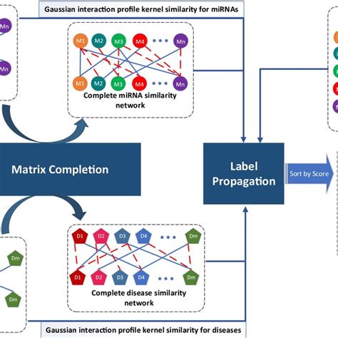 Flowchart Of Potential Disease‐mirna Association Prediction Based On
