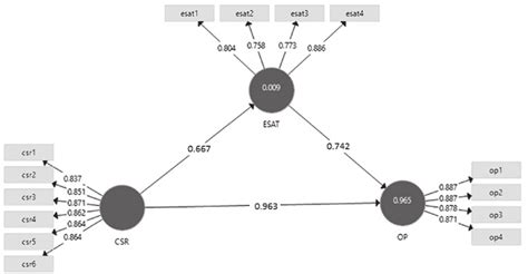 Structural Model Of The Direct Paths With Coefficients Download