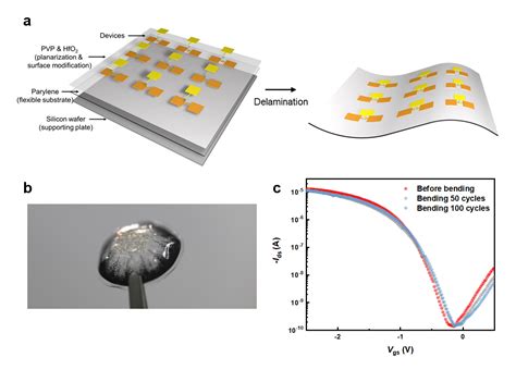 电子学院胡又凡 彭练矛联合课题组在高速柔性电路研究中取得重要进展 北京大学电子学院