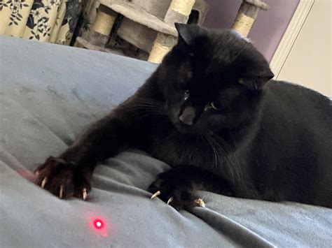 Nature Is Lit Scrolller