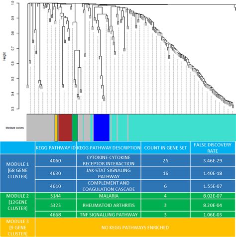 Network Analysis Dendrogram Showing Modules Based On The Coexpression
