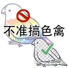 不可以涩涩 铁锈社区