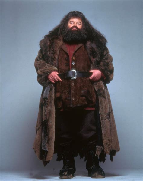 ‘rubeus Hagrid Pictures — Harry Potter Fan Zone