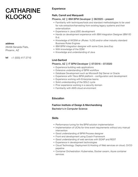 BPM Developer Resume Samples Velvet Jobs