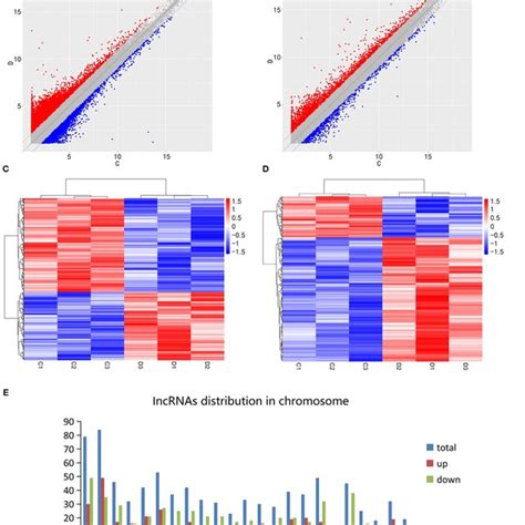 expression levels of long non coding rnas lncrna in dilated