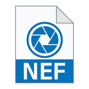 Qué es un archivo NEF Y cómo abrir uno Estudio de Fotografía