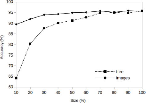 Figure 5 From Tree Species Identification From Bark Images Using Convolutional Neural Networks